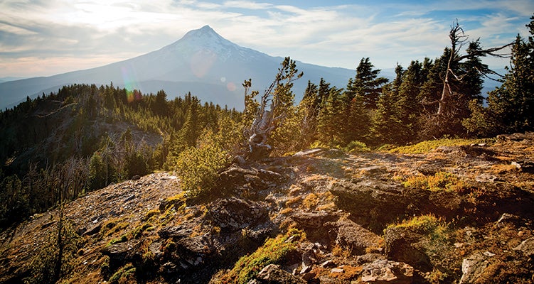 Portland's Best Local Hikes