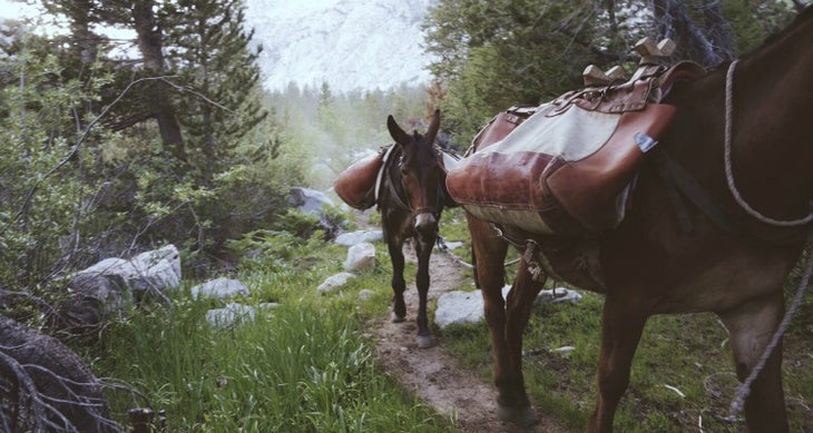 PCT Week 9: High Sierra Passes