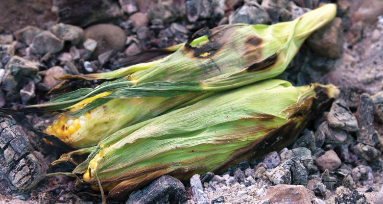 Cook Corn on the Cob on a Fire