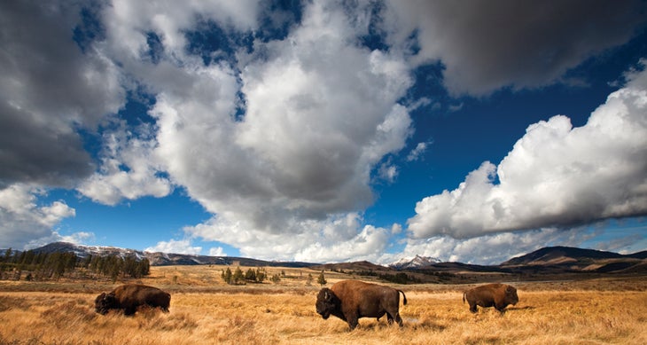 10 NPS Rangers We Love