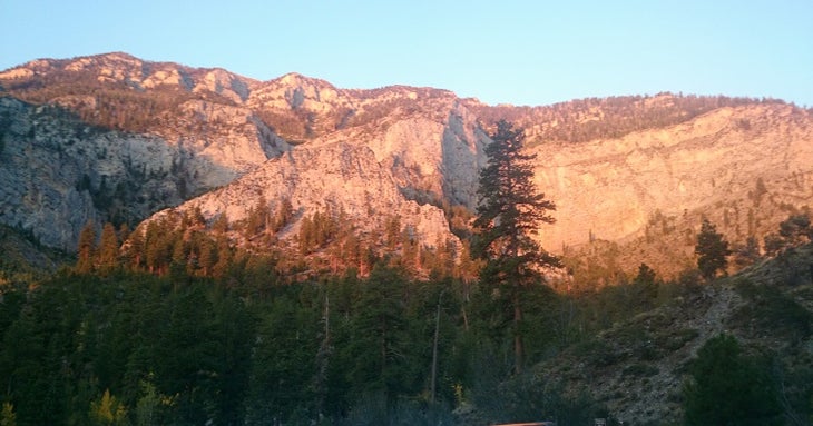 Mt. Charleston Hike in Las Vegas, Nevada