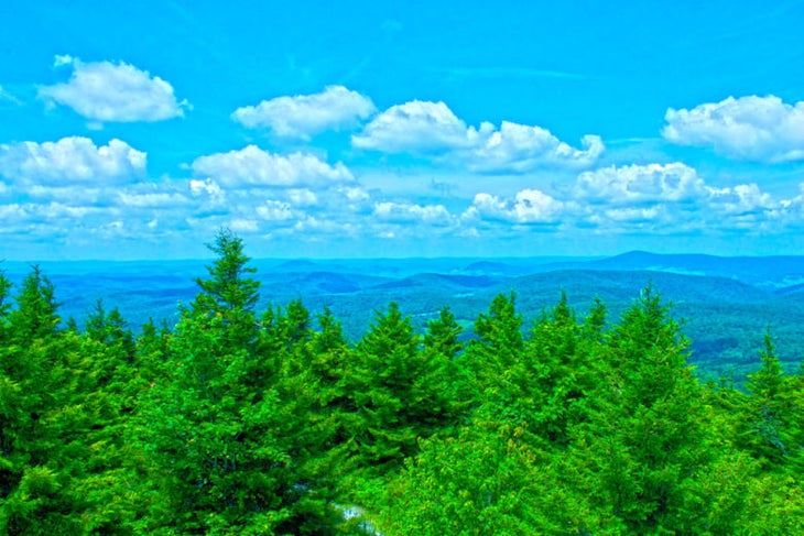 Wild, Wonderful West Virginia
