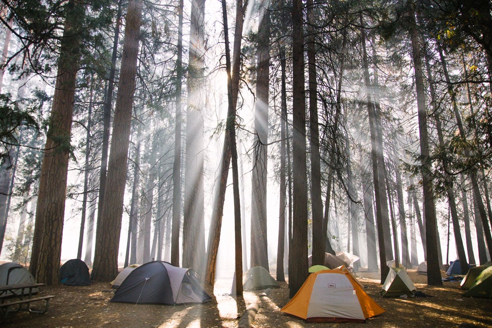 Get Out More Tour 2017 Festival Tour Schedule