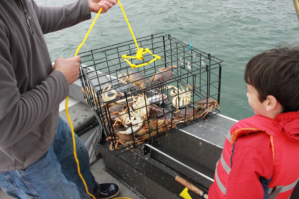 Park Ranger Finds Jesus--in a Crab