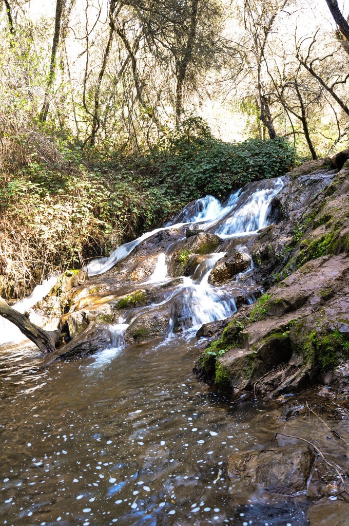 New Online Reservation System for Hidden Falls Regional Park
