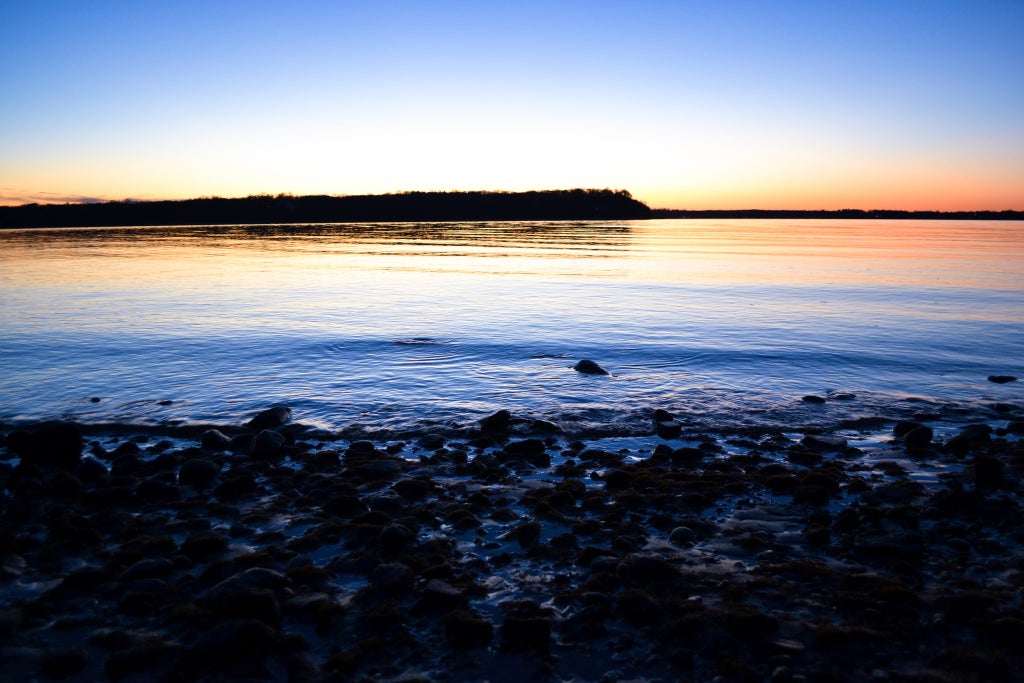 New York Preserves Coastal Woodlands at Flax Pond