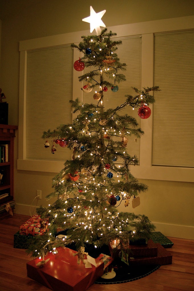 How to Cut Your Own Christmas Tree