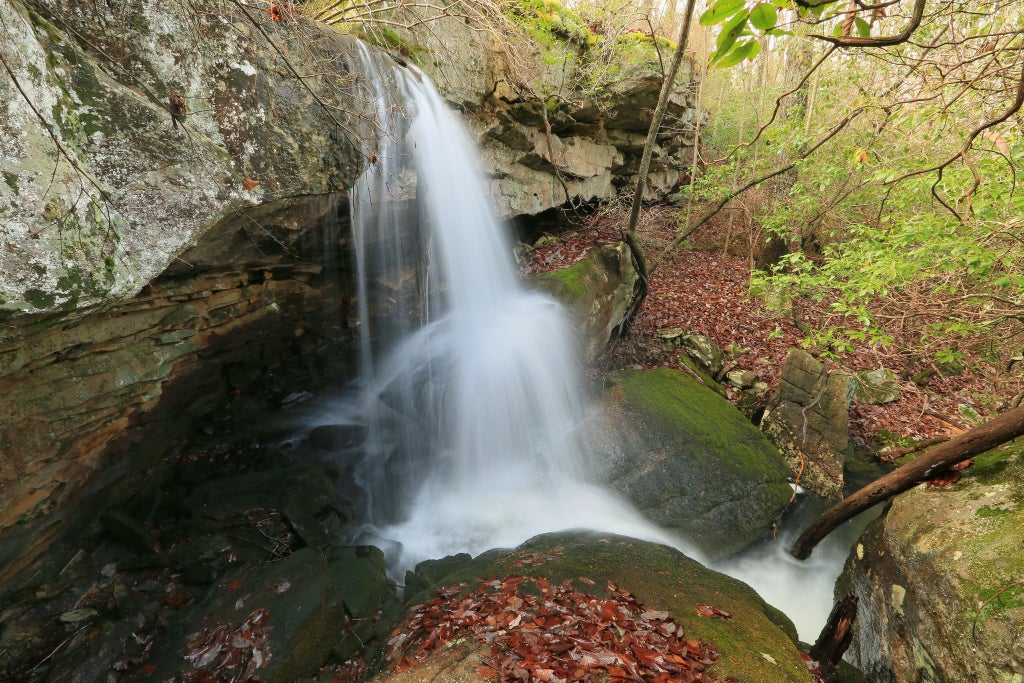 Meet the Roswell Teen Behind Georgia's Waterfall Website