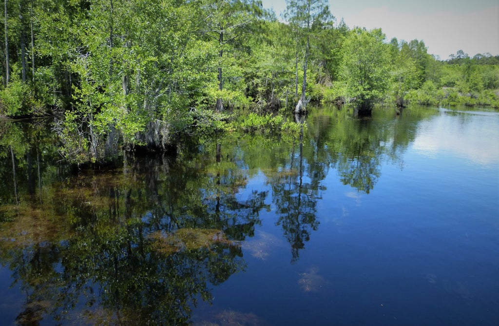 Meet the Namesakes of Two Georgia Parks