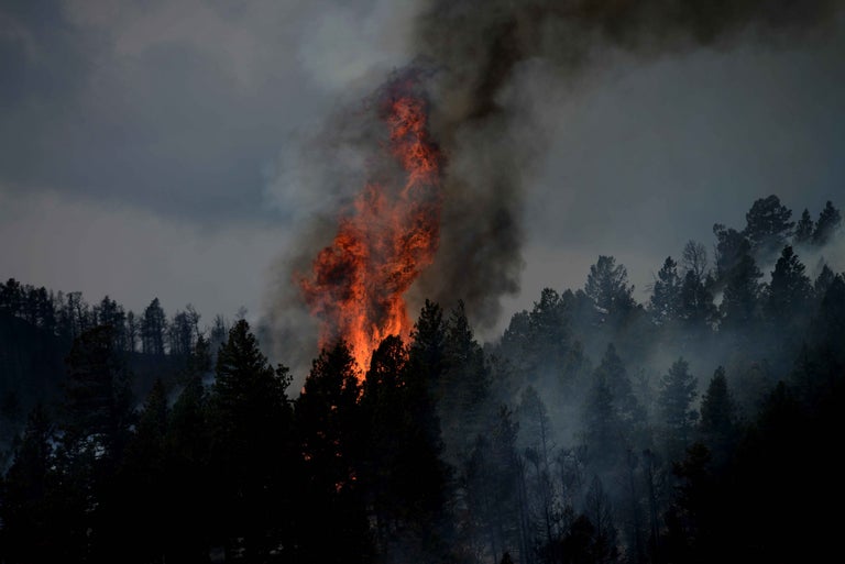 Why We Can’t Log Our Way Out of Wildfires