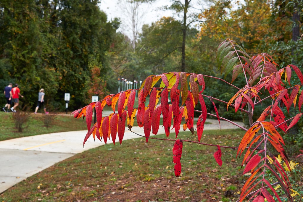 Emory Opens New Bike & Pedestrian Trail