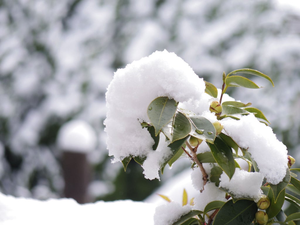 Spring Blizzard Breaks Records across Upper Midwest