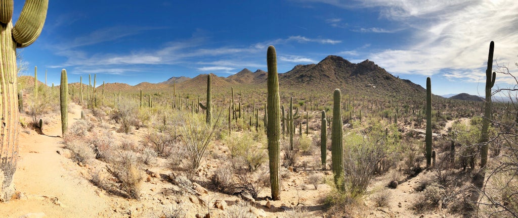 How to Remove and Treat Thorns, Splinters, and Other Prick Wounds