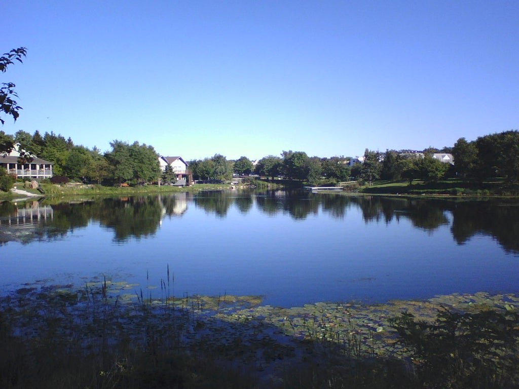 Where to Paddle in Chicago