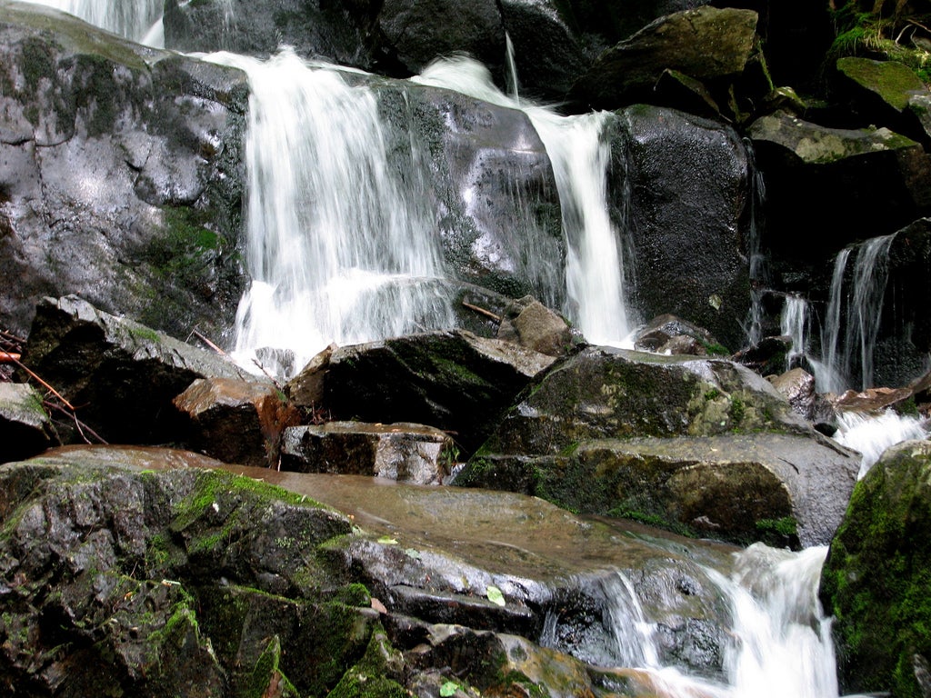 Hiker Survives 40-Foot Fall in the Smokies