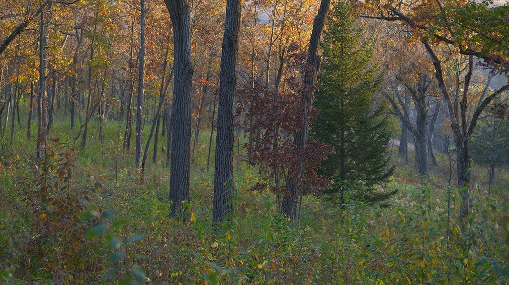 Hike the Ice Age in Wisconsin's Harrison Hills