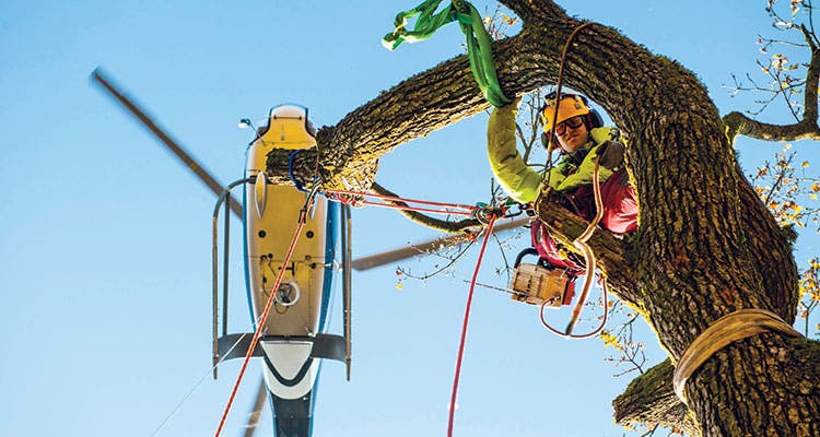 The 12 Best Jobs in the Outdoors | Outdoor Jobs and Careers
