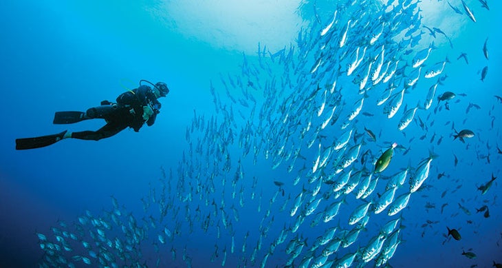 The 12 Best Jobs in the Outdoors | Outdoor Jobs and Careers