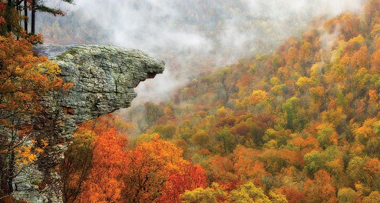 Hawksbill Crag Hike, Arkansas