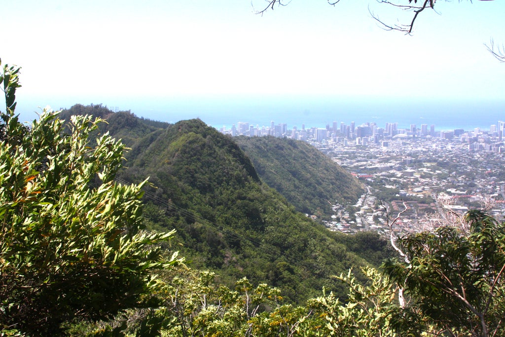 Hike of the Week: Wa‘ahila Ridge, HI