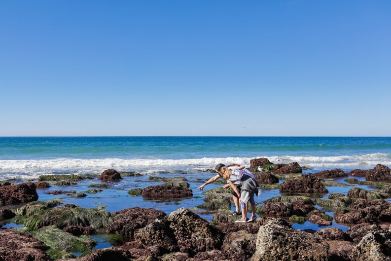 How to Explore Tide Pools With Your Kids