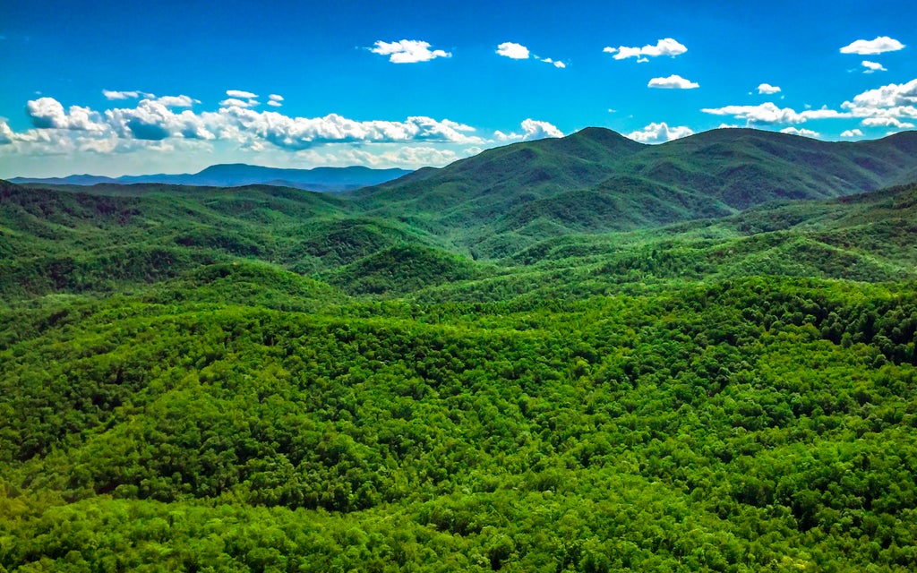 Hike of the Week: Looking Glass Rock, NC