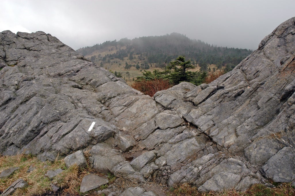 Read: Criminal Complaint in Appalachian Trail Murder Case