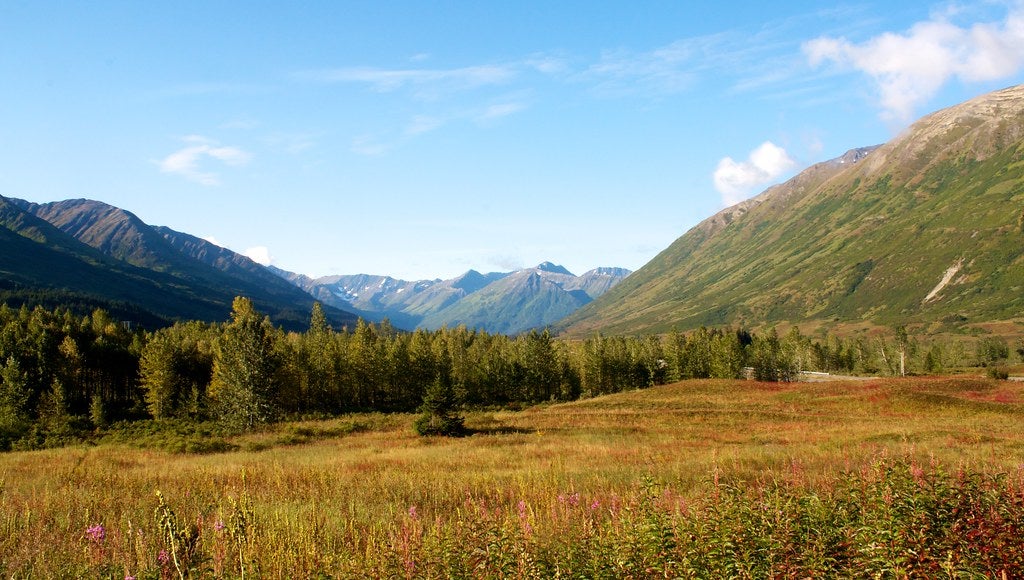 Finish Your First Thru-Hike On These 50-Mile Trails