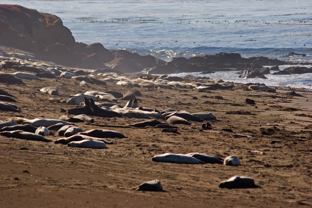 8 Hikes to See the Spring Migration