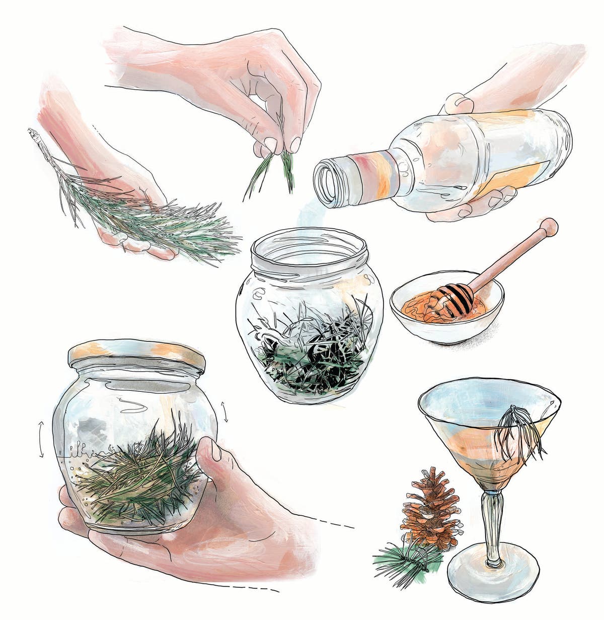 The Beginner's Guide to Foraging