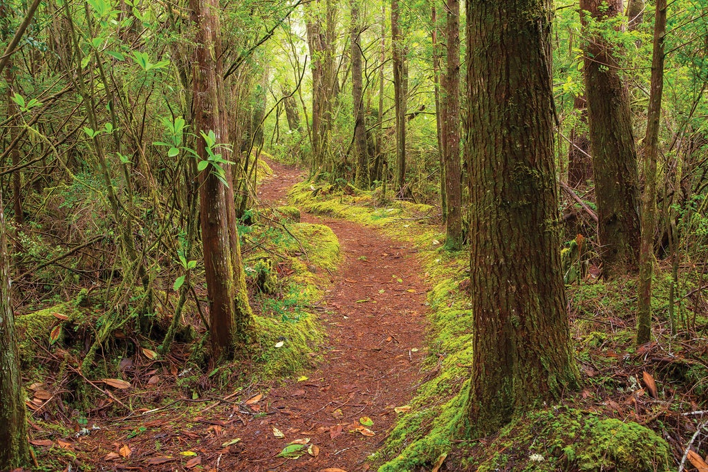 Go on a Coastal Getaway in the Siuslaw National Forest, Oregon