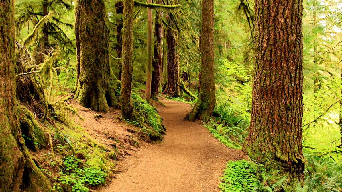 Here's What it Takes to Build a New Trail - Backpacker