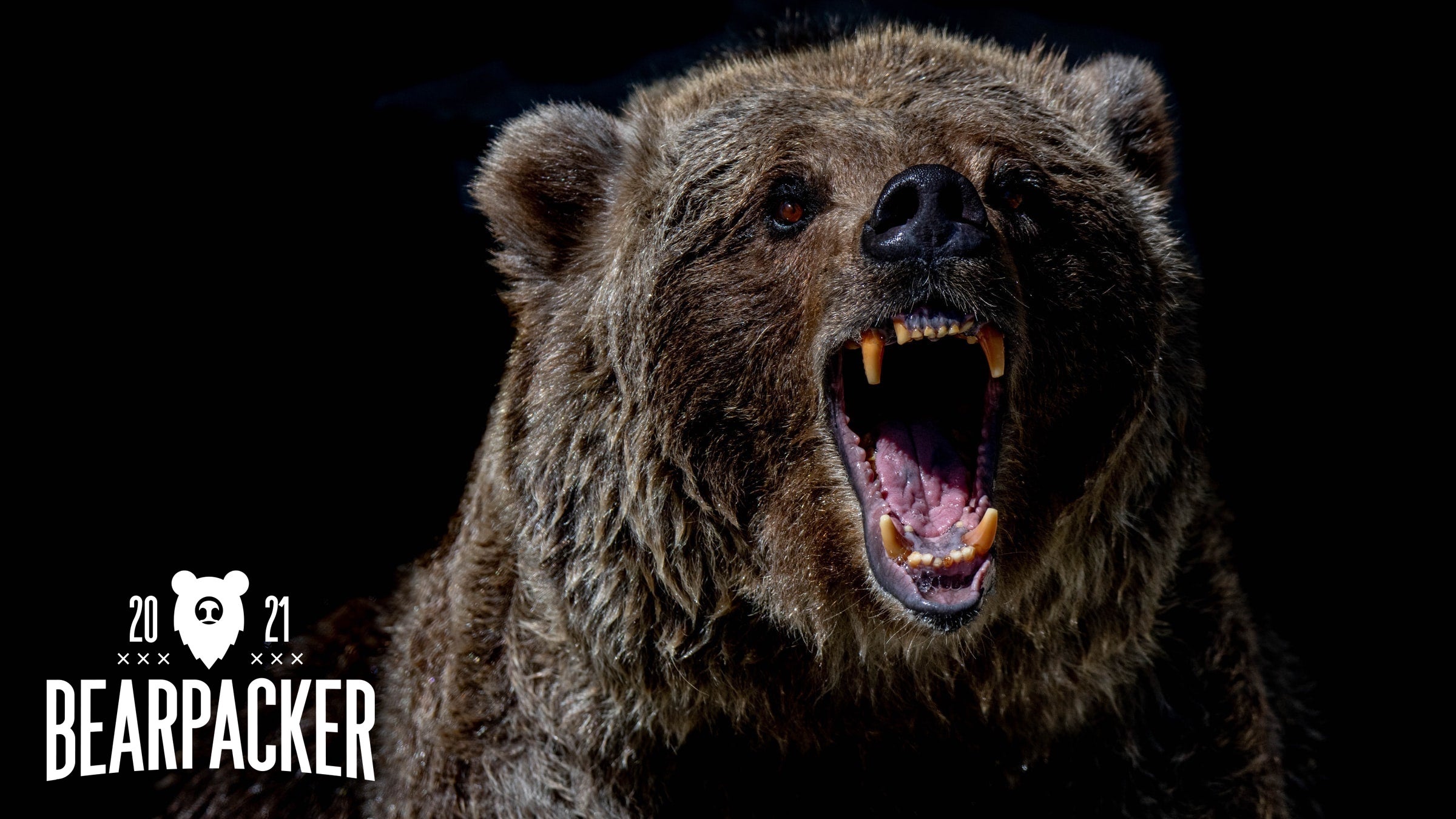Cope With Your Fear of Bears - Backpacker