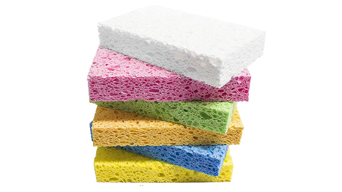 Why This Active Pass Member Packs a Sponge on Every Hike - Backpacker