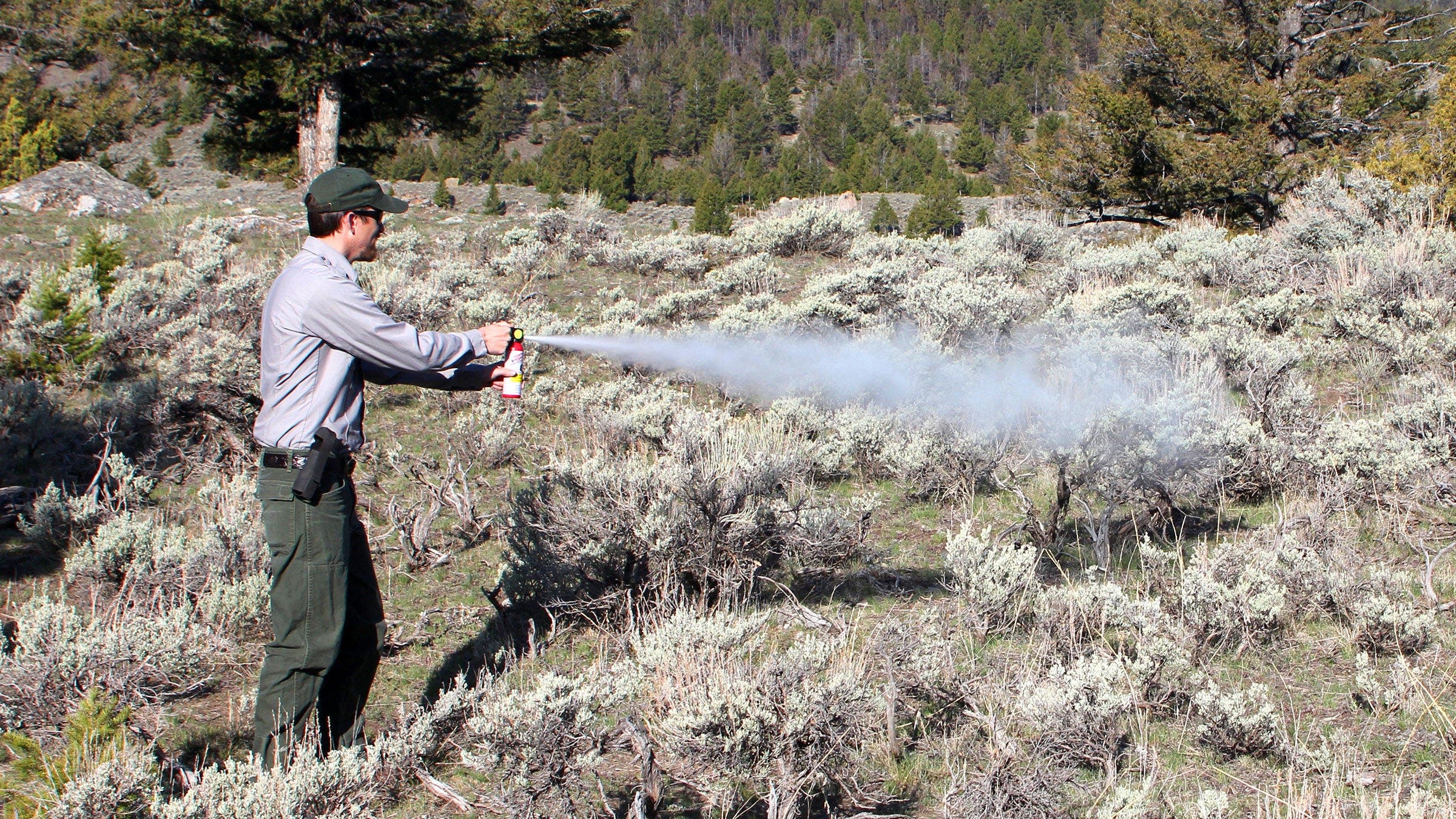 Bear Spray Can Breed False Confidence. That's Dangerous.