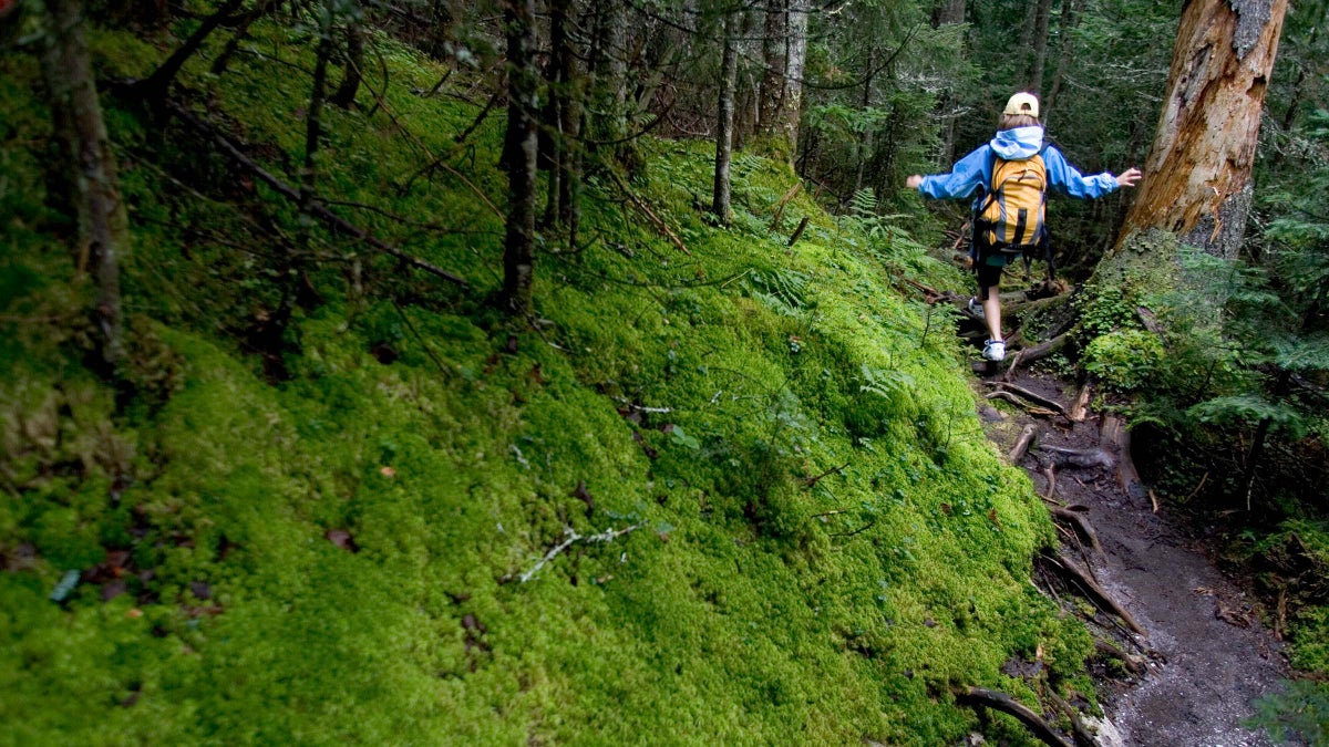 Why Section Hiking Is the Best - Backpacker