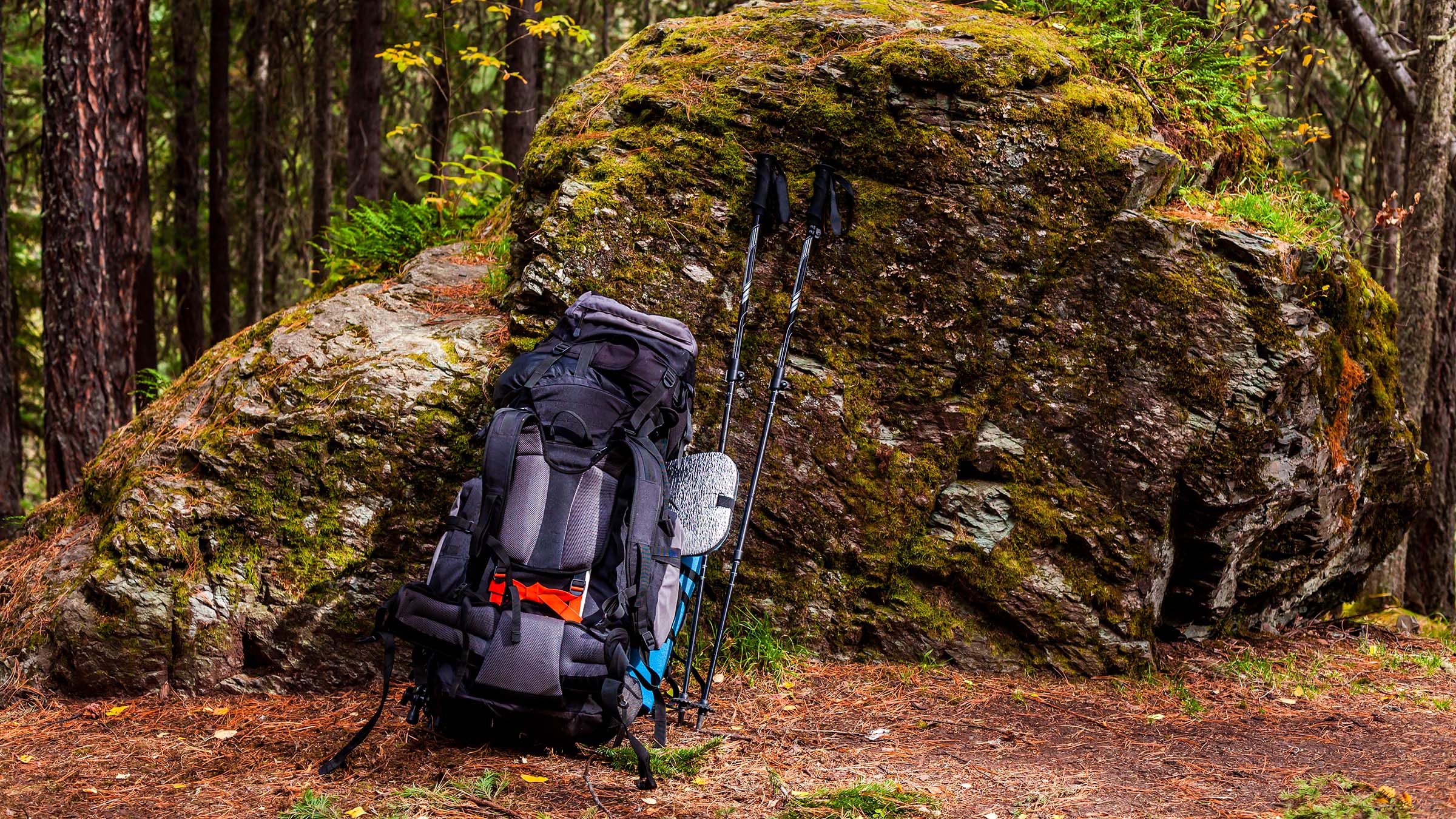7 Best Hiking Cookware Essential Tools For Your Backpacking Adventure