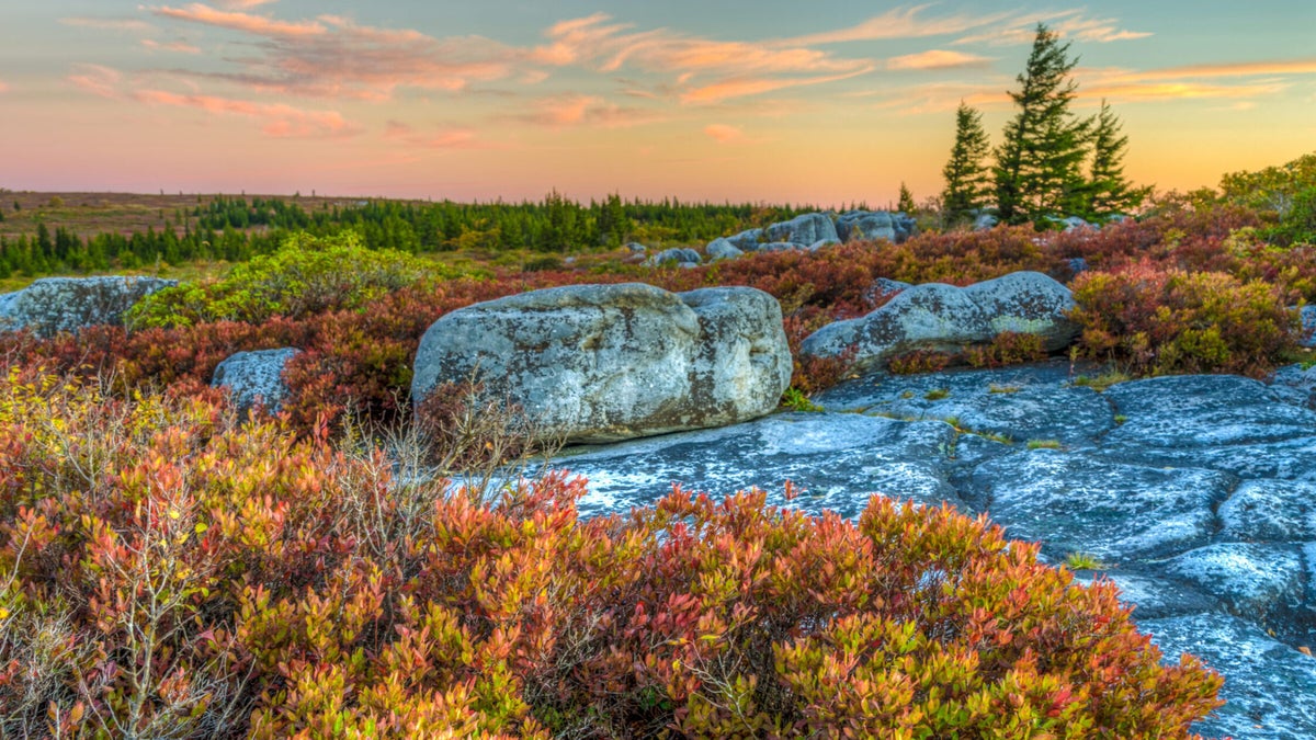 The Best Hikes in the Dolly Sods - Backpacker