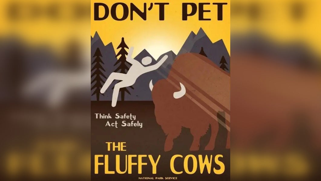 The NPS Has a Message for Visitors: "Don't Pet the Fluffy Cows ...