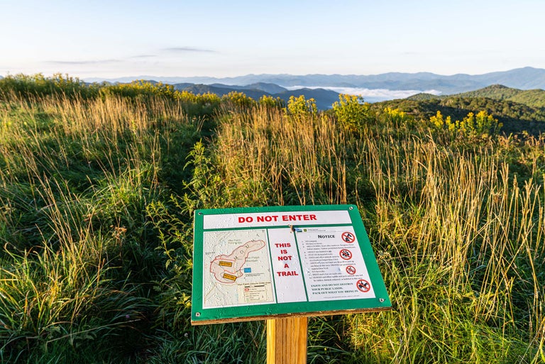 Max Patch Was the Appalachian Trail's Most Gorgeous Campsite—and it ...