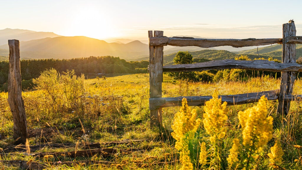 Max Patch Was the Appalachian Trail's Most Gorgeous Campsite—and it ...
