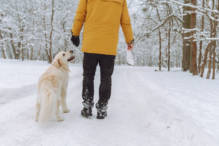 Leaving Dog Poop on the Trail Is Bad. Leaving Dog Poop Bags on the ...