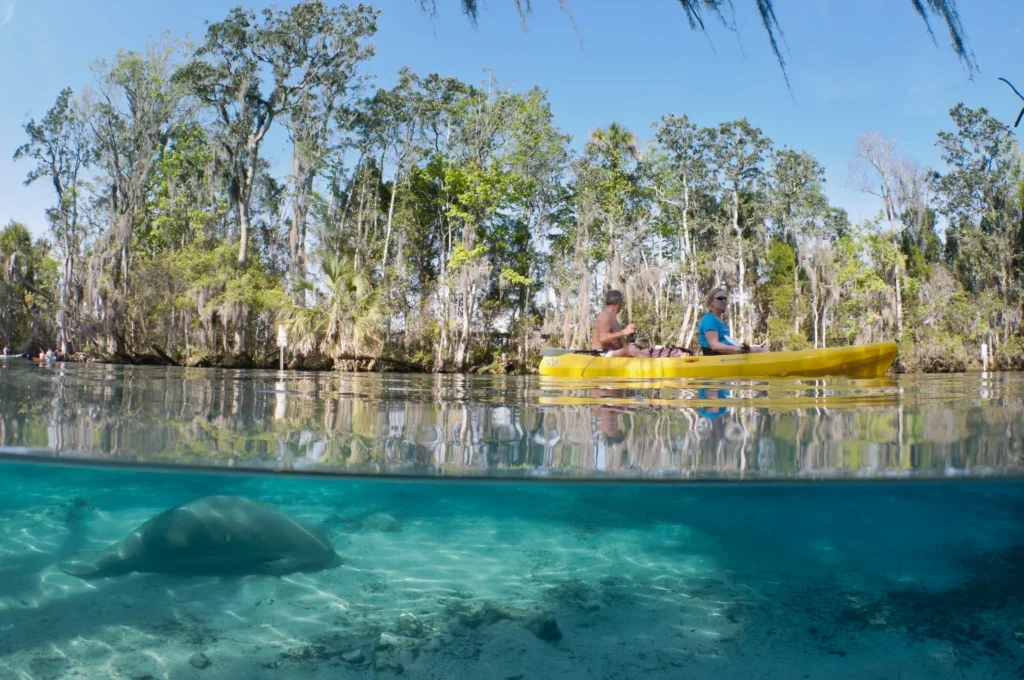 Explore the Waterways of Crystal River, Florida - Backpacker Explore the Waterways of Crystal River, Florida - Backpacker