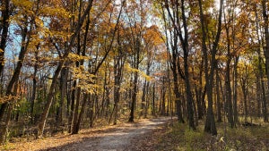 These Urban Hikes Are Wild Adventures Inside City Limits - Backpacker