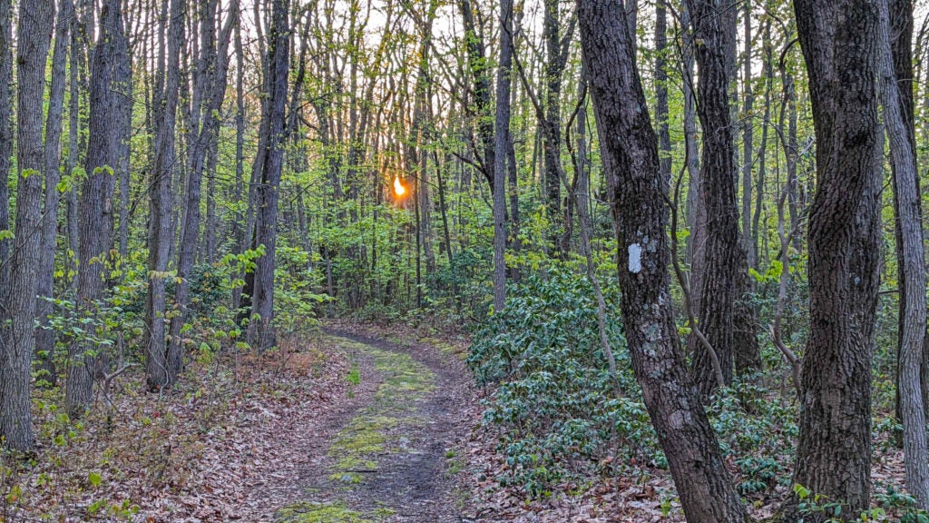 7 Perfect Trails for Finishing the Spring Hiking Season Strong - Backpacker