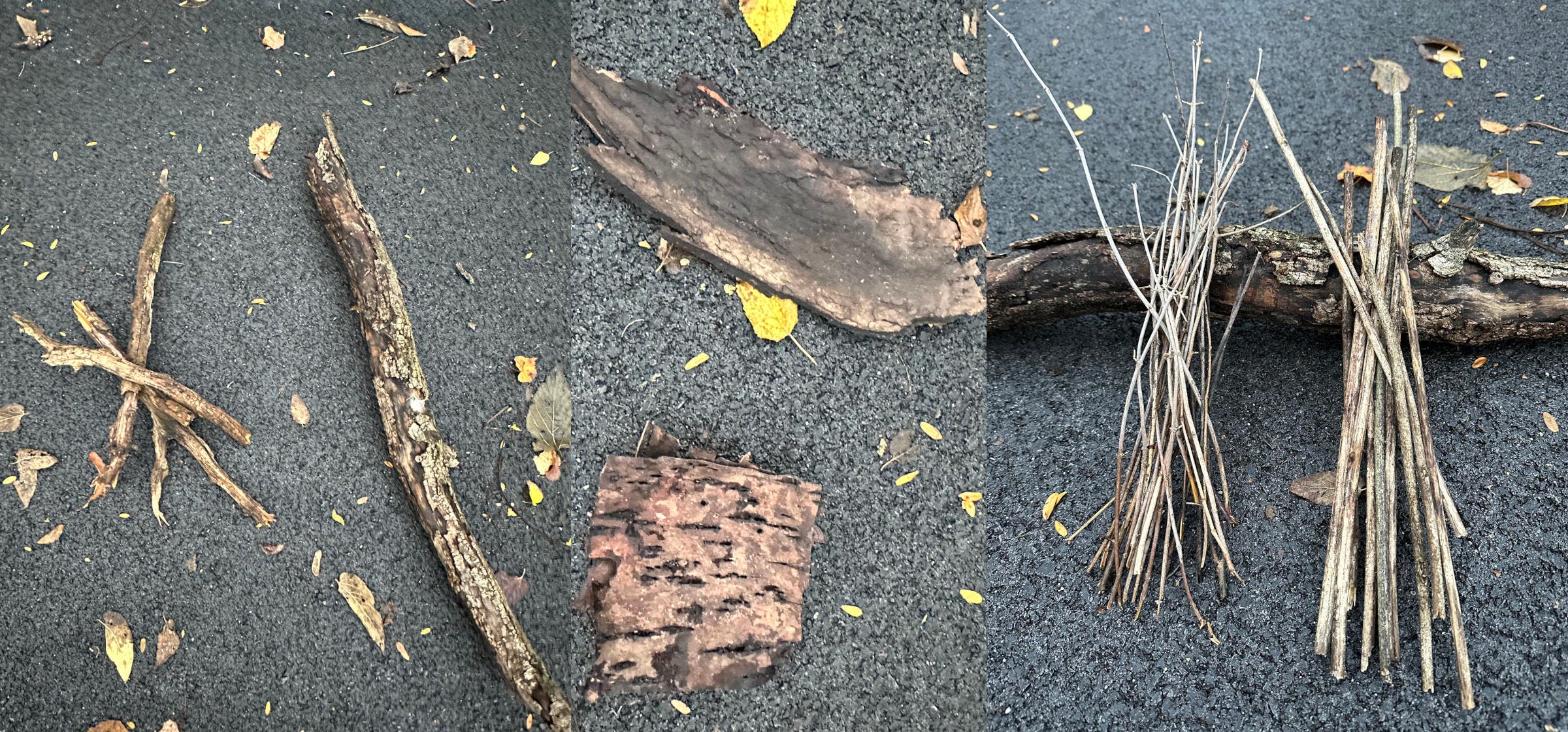 How to Make a Fire Even in the Windiest, Wettest Conditions