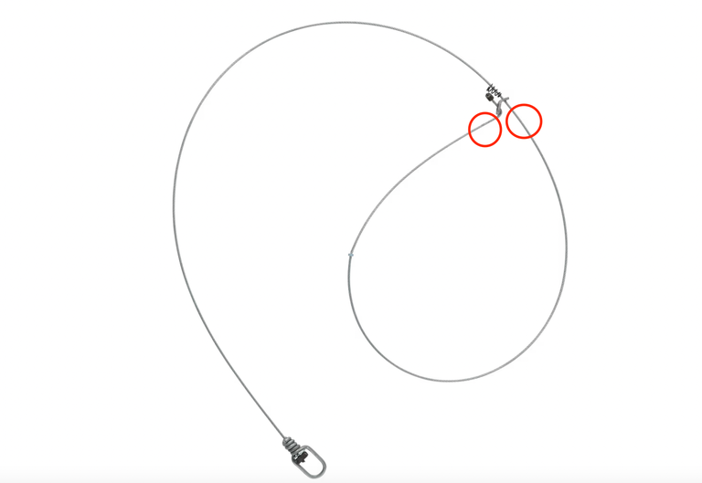 How to Rescue Your Dog From an Animal Trap - Backpacker