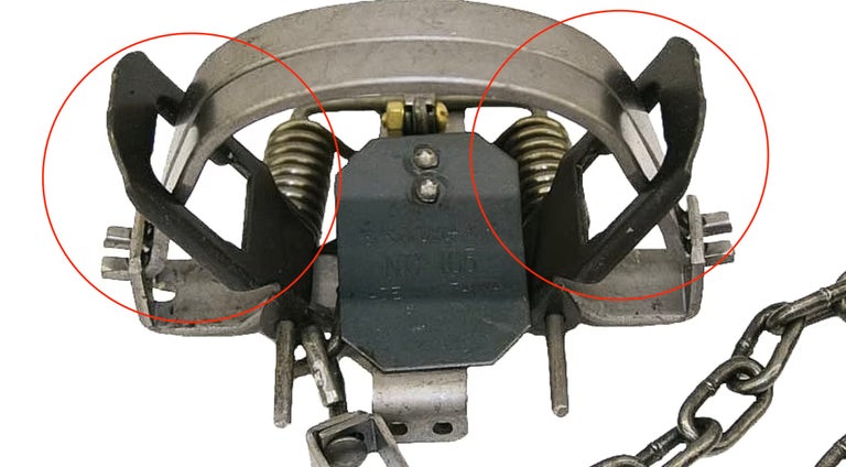 How to Rescue Your Dog From an Animal Trap - Backpacker