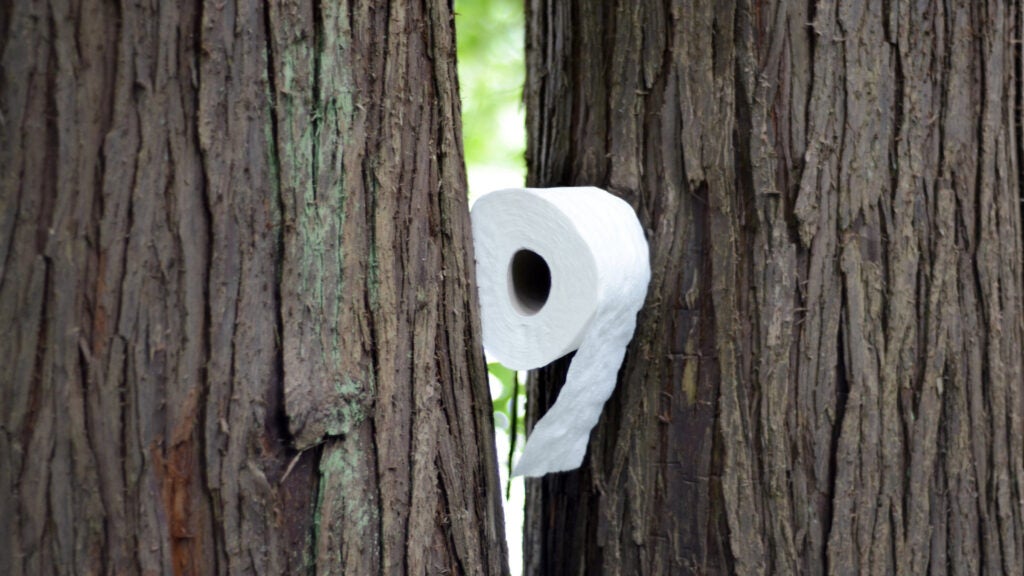 Burying Your Poop in the Outdoors Is Outdated - Backpacker