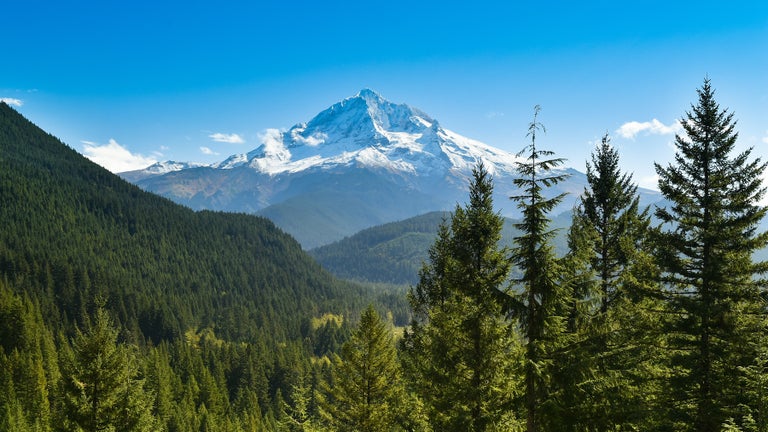 Discover Hood River: Oregon's Sanctuary for Waterfall Hikes